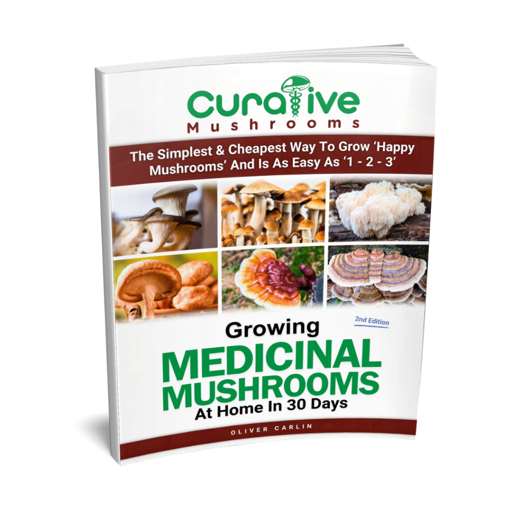 Curative Mushrooms Shop
