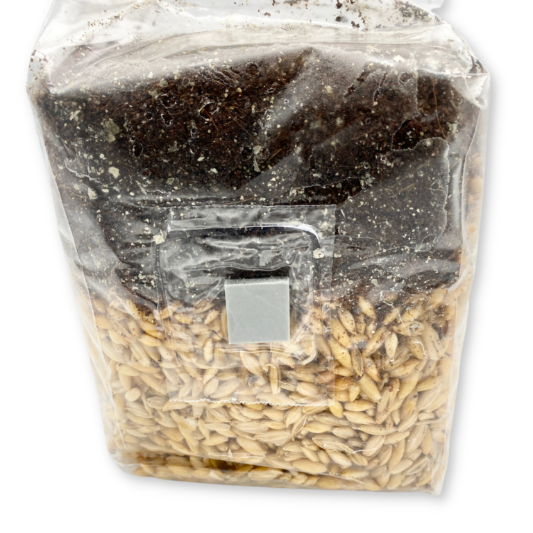 Manure Loving Mushrooms Grow Bag (Shroom Bomb)