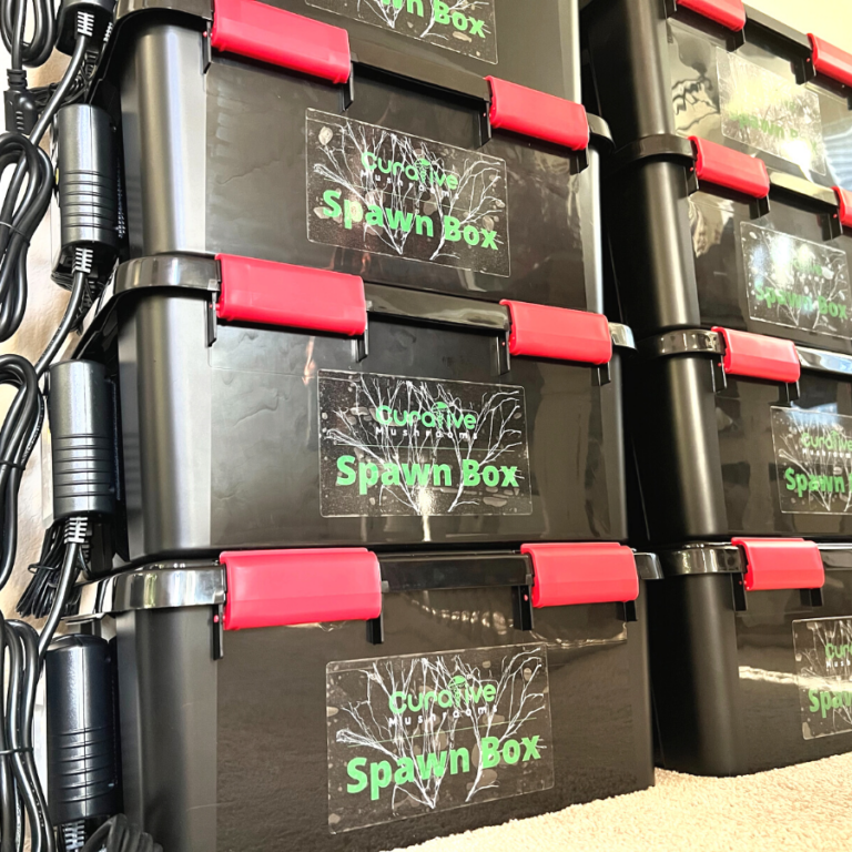 Curative Mushrooms Spawn Box | Mushroom Incubator