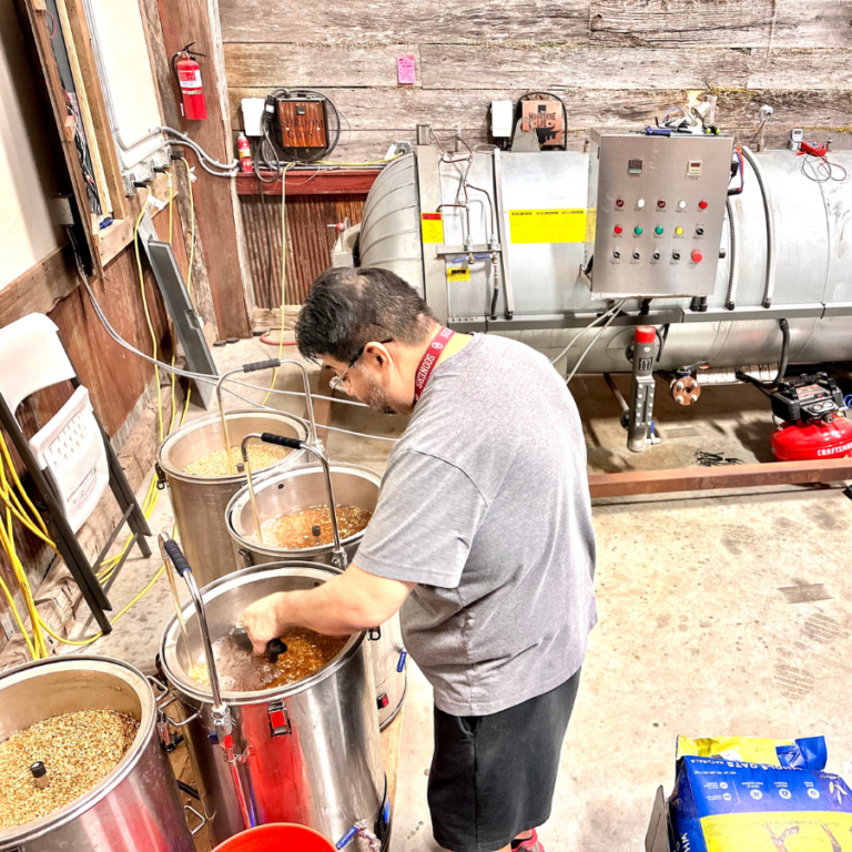 Mushroom Grain Spawn Bags of 1.5 Pound